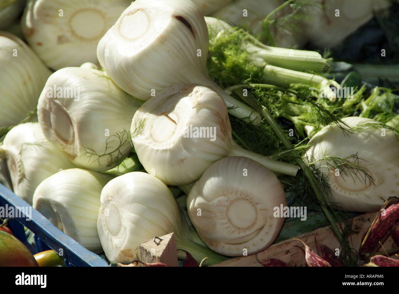 Fennel, aniseed, flavour, bulb, mediterranean, cook, root, vegetable ...
