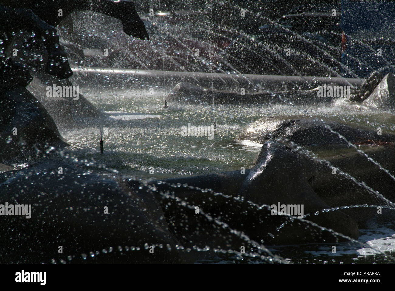 splash, droplet, water, surface, tension Stock Photo - Alamy