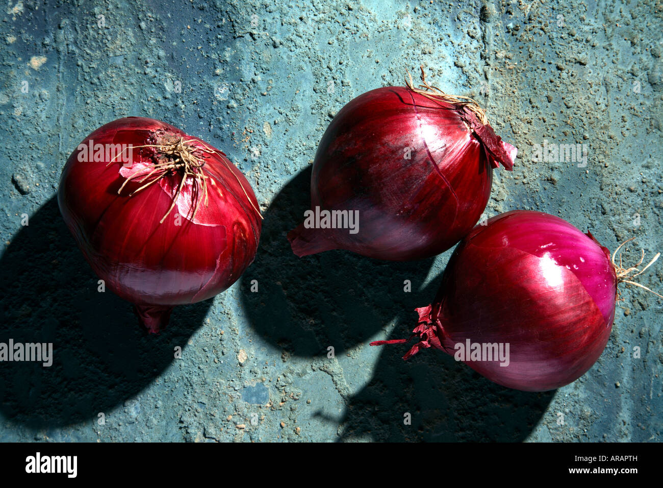 Blue onions hi-res stock photography and images - Alamy