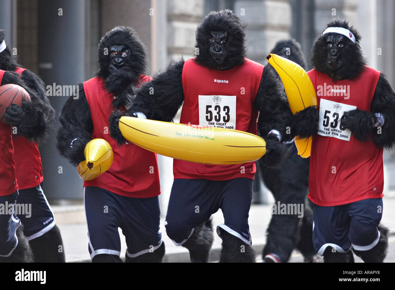 Gorilla suit hi-res stock photography and images - Alamy