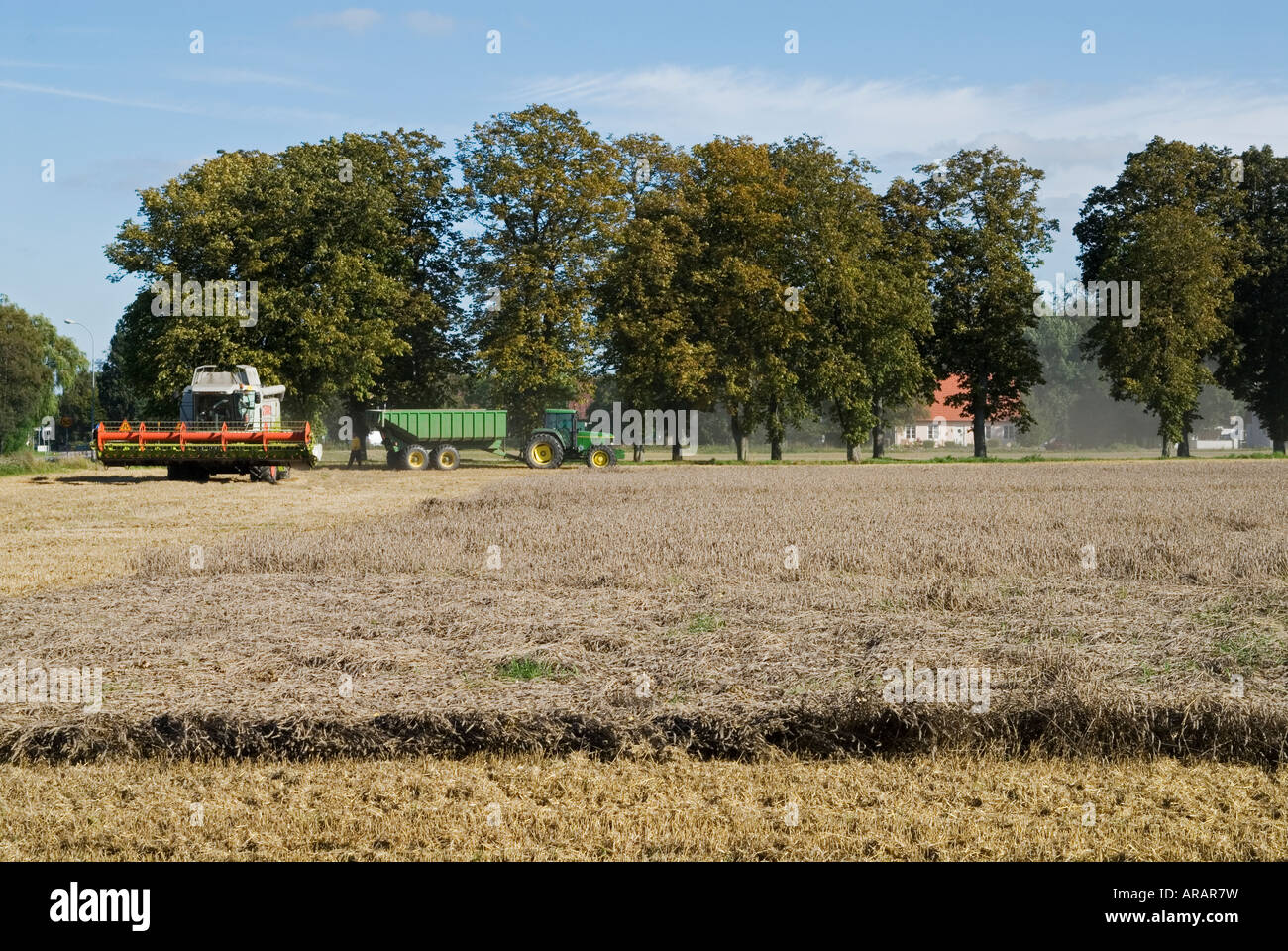 Reaping people hi-res stock photography and images - Alamy