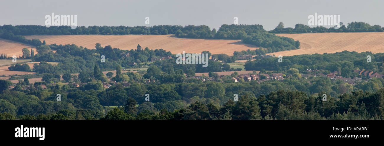 Slopes of Hog's Back chalk ridge at Flexford Ancient byway stretching ...