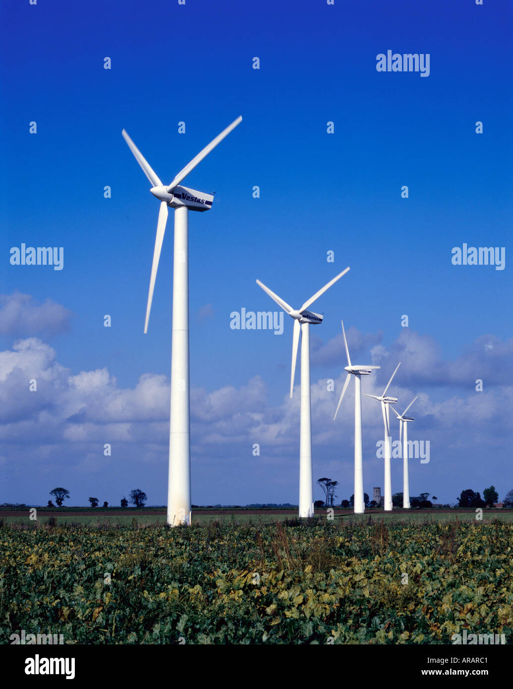 Windpower. Line of gererators in agricultural crop field Norfolk ...