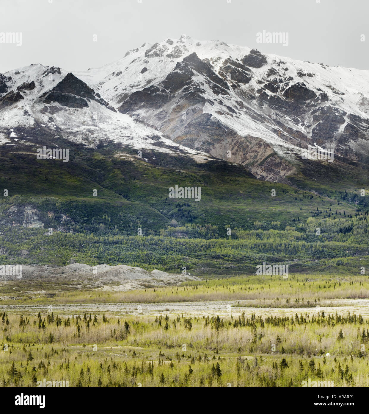 Sometimes snow falls in the middle of summer, making graet combination ...