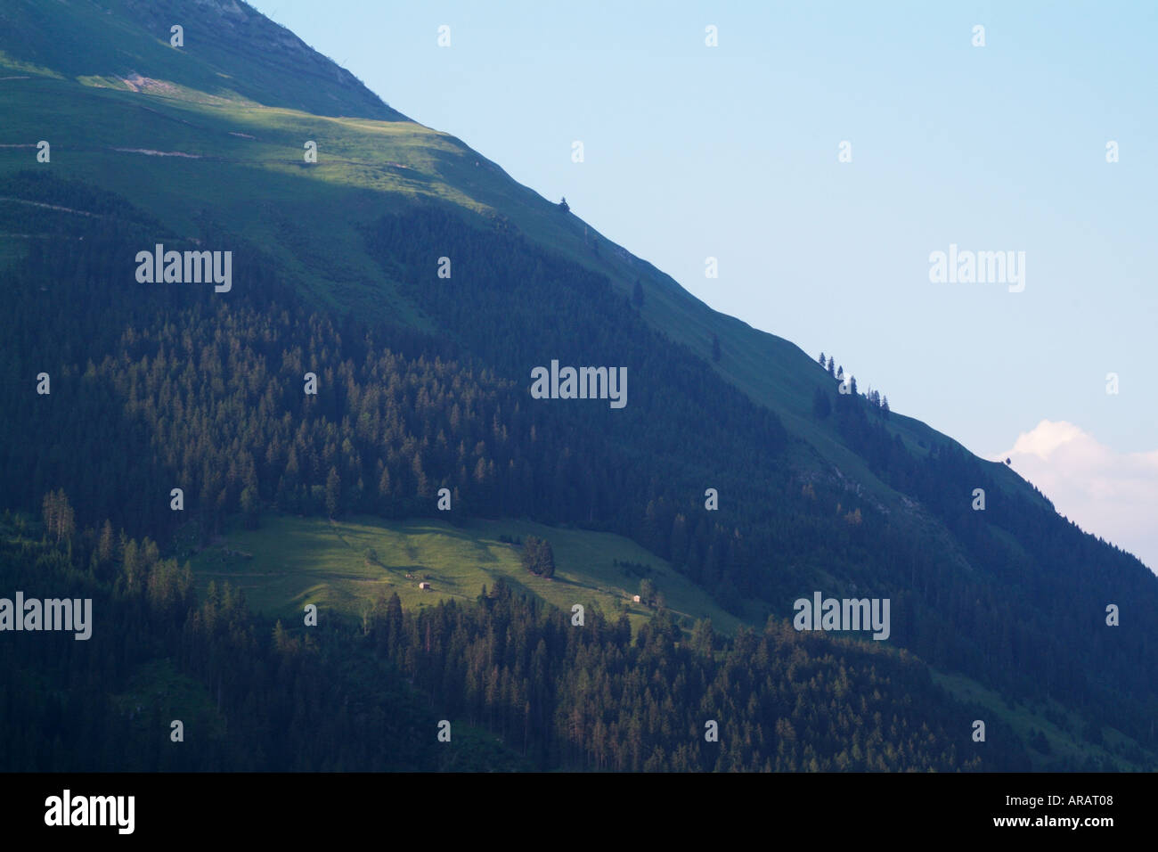 Hillside above Elbigenalp in the Lechtal Lech valley Tirol Austria ...