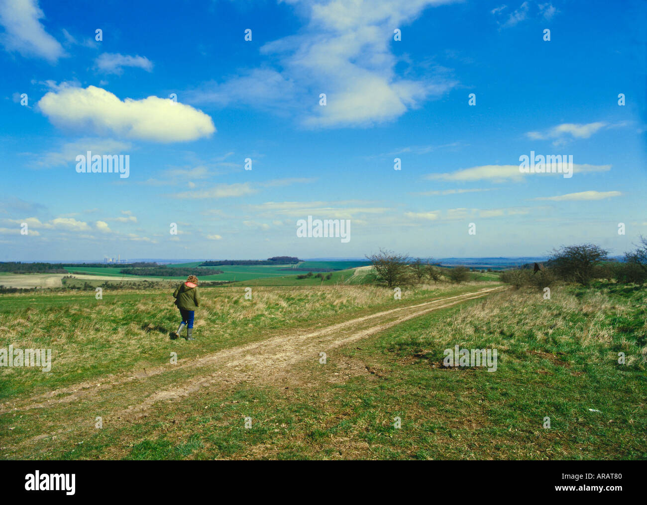 The Ridgeway Long Distance Path. Near Streatley on Berkshire Downs Path ...