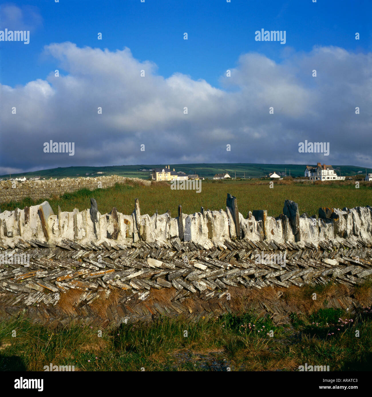 Herringbone dry stonewall used in place of hedgerow in treeless region ...