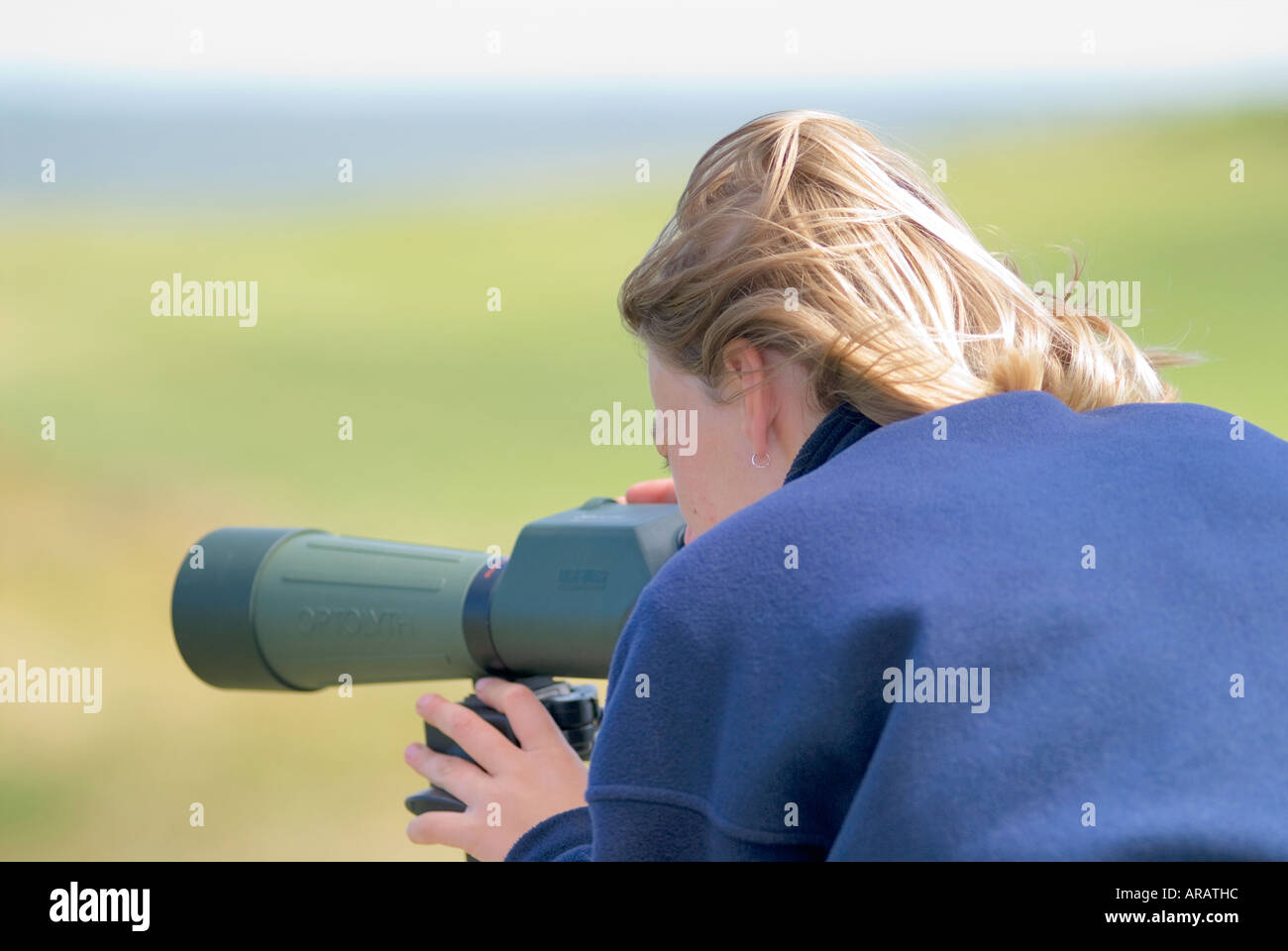 Bird spotting guide hi-res stock photography and images - Alamy