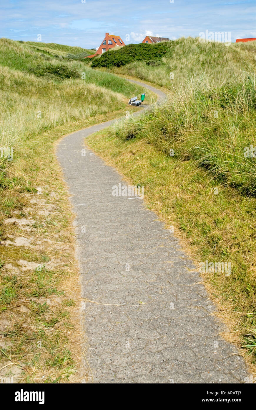 path through grass covered sand dunes to village of Loog, Juist ...