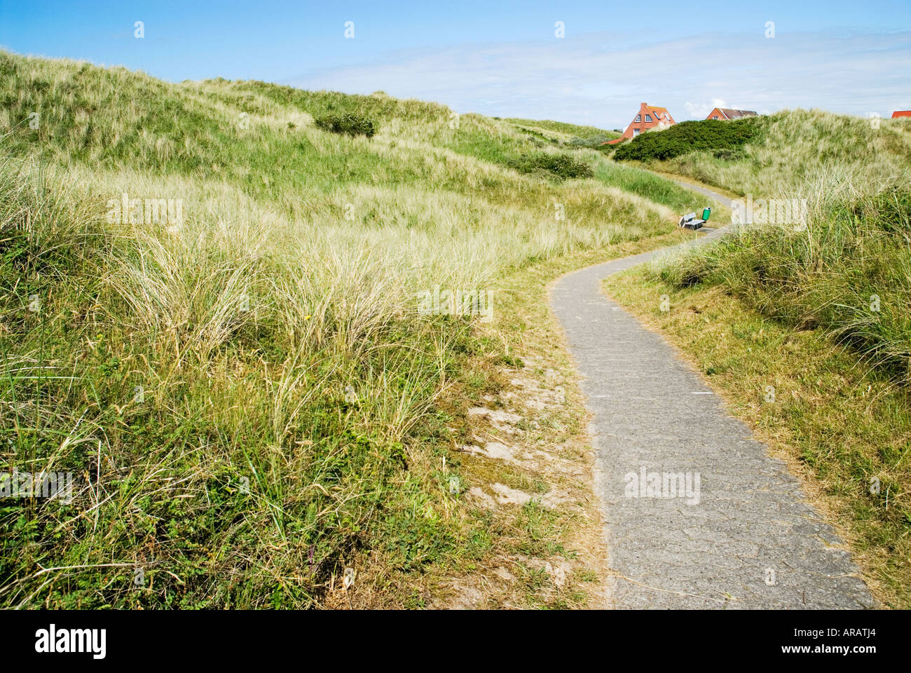 path through grass covered sand dunes to village of Loog, Juist ...