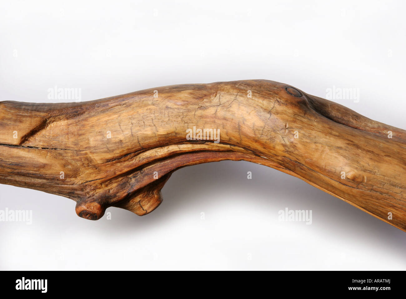 Gnarled wood hi-res stock photography and images - Alamy