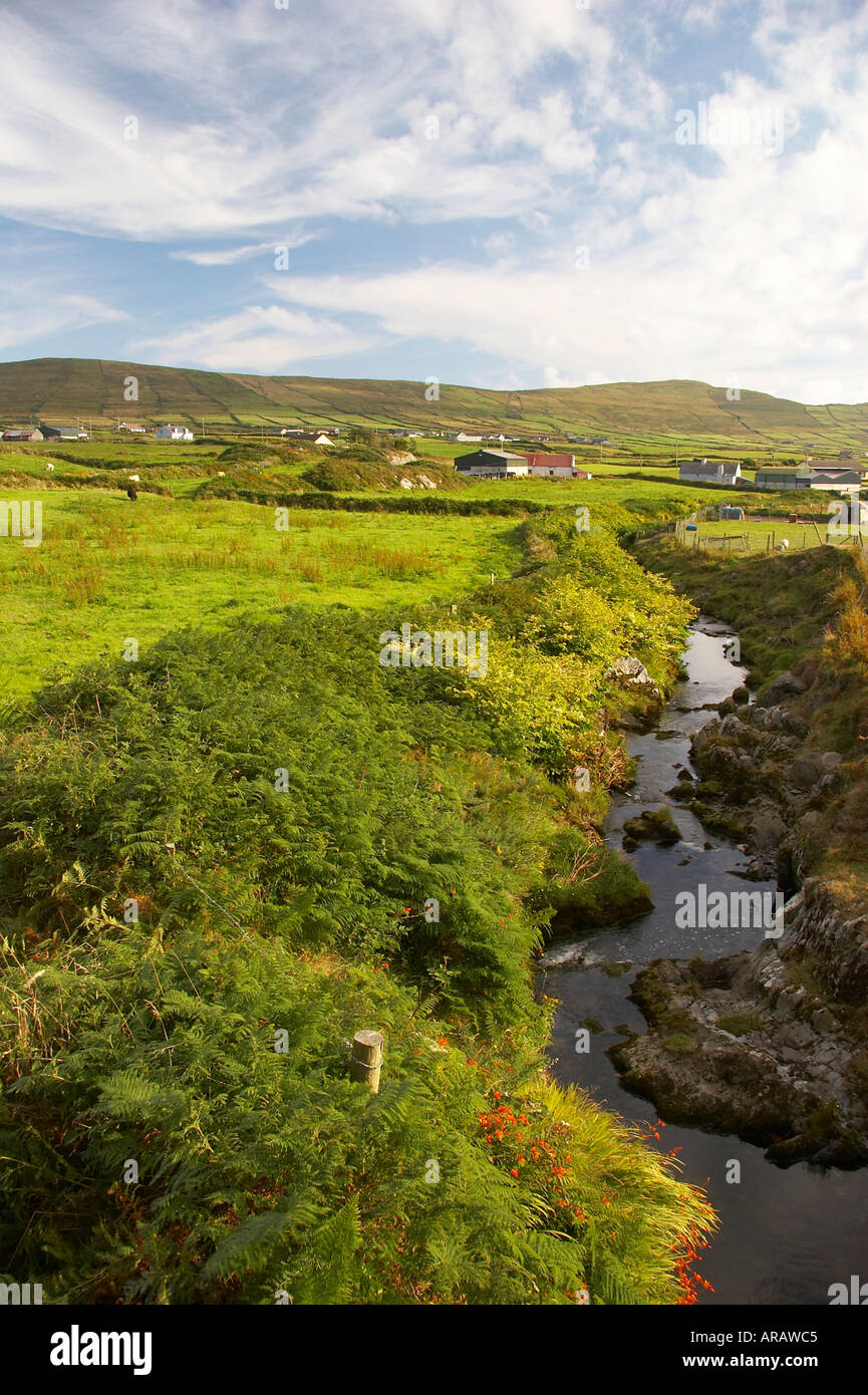 Irish stream streams ireland hi-res stock photography and images - Alamy