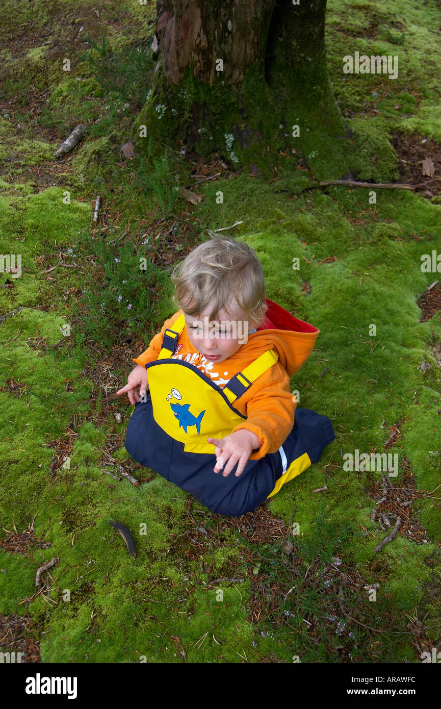 baby on mossy forest soil Stock Photo - Alamy