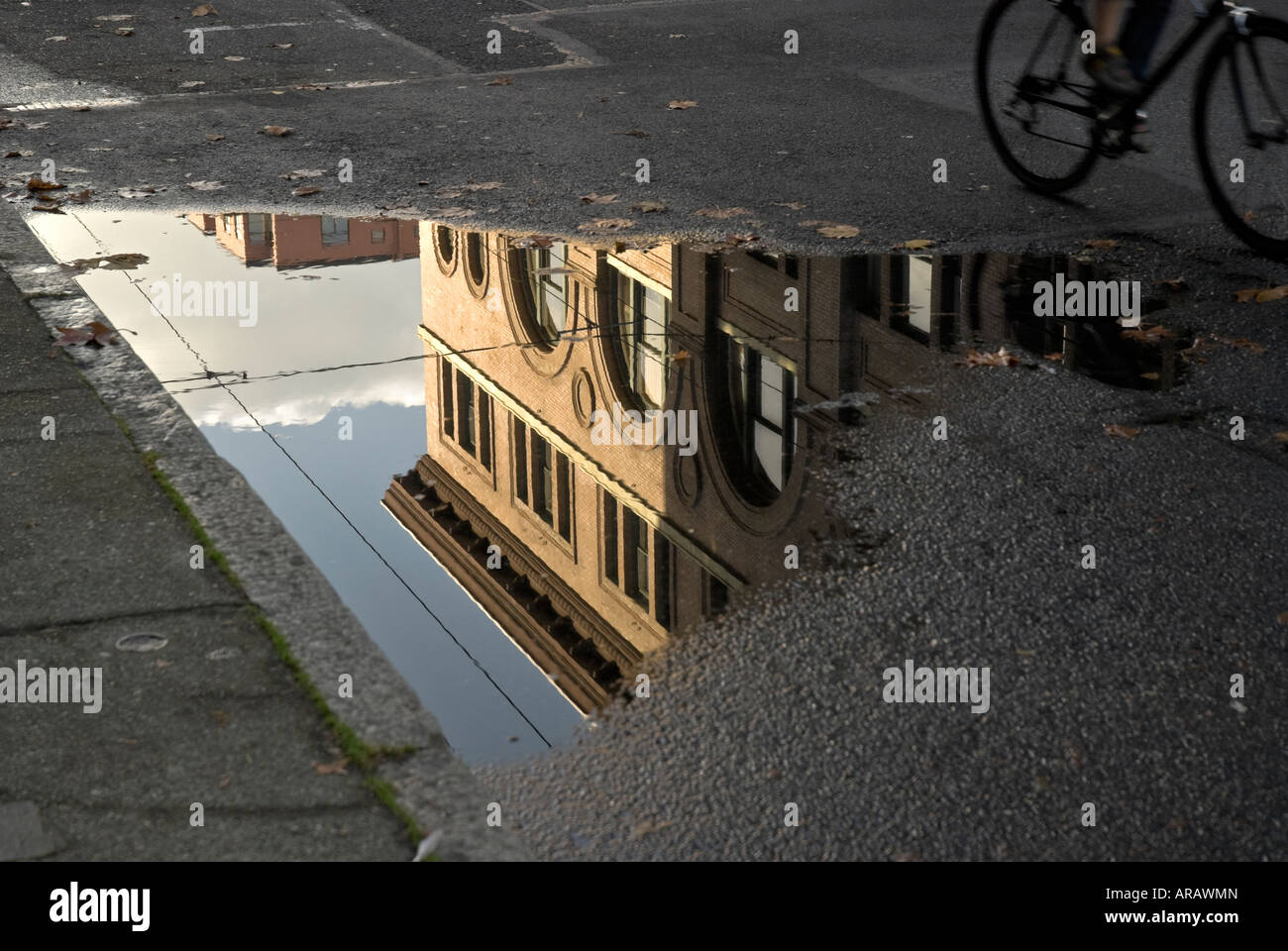 rider cycles by reflection water puddle historic district of downtown ...