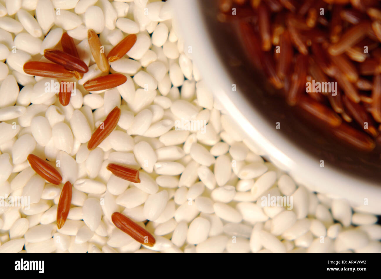 Indian short grain rice hi-res stock photography and images - Alamy