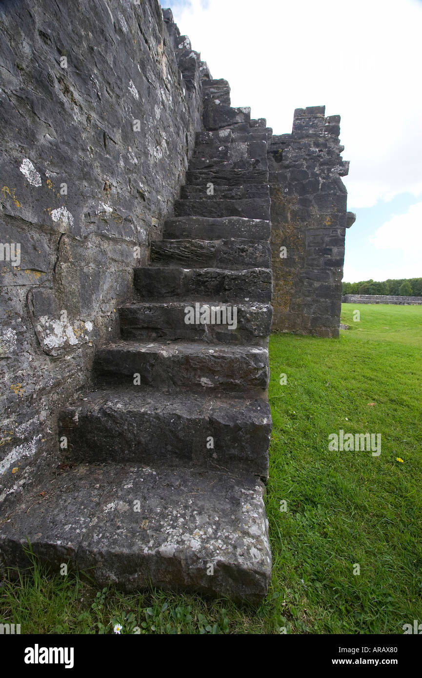 Castle ireland stair hi-res stock photography and images - Alamy