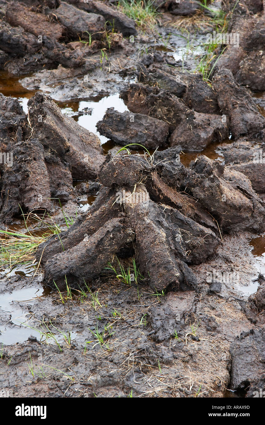 cutting peat in Ireland Stock Photo - Alamy