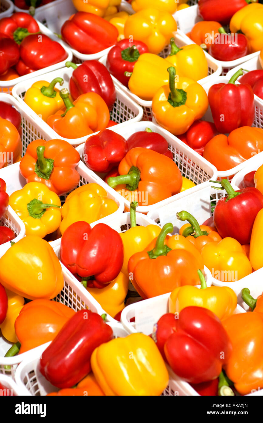 Market fresh bell peppers in basket Stock Photo - Alamy