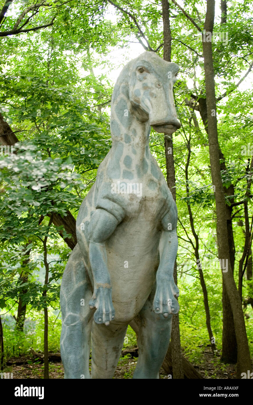 Woods replica hi-res stock photography and images - Alamy
