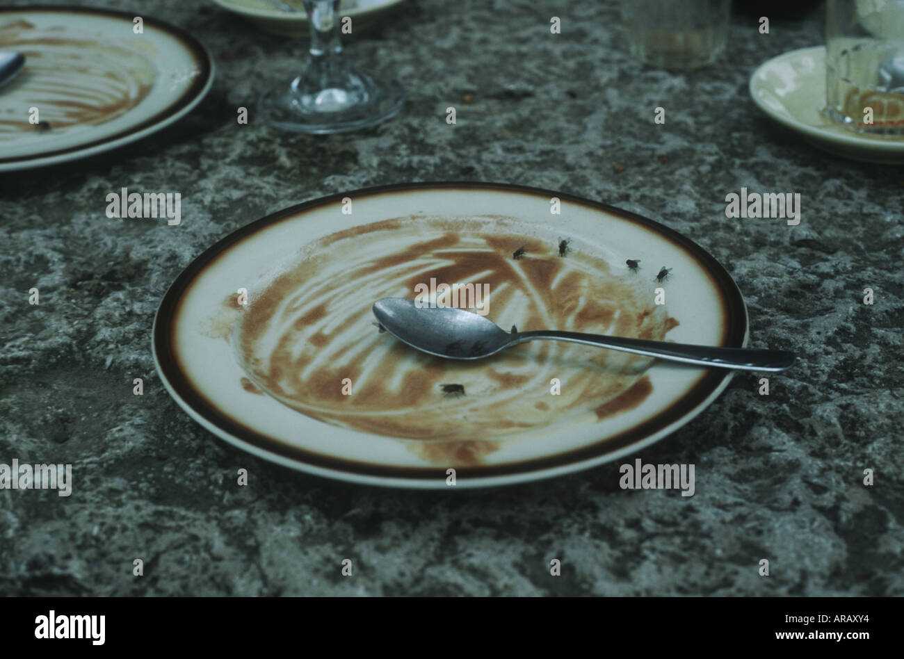 Flies on food hi-res stock photography and images - Alamy