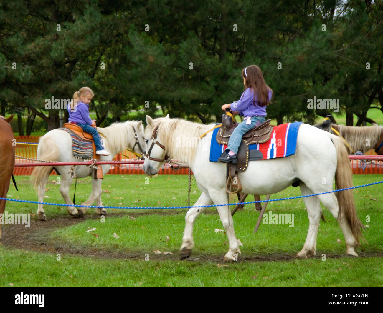 Pony rent hi-res stock photography and images - Alamy