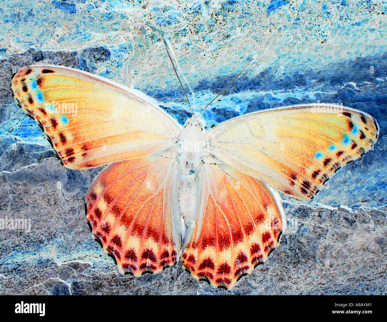 Inverted color hi-res stock photography and images - Alamy