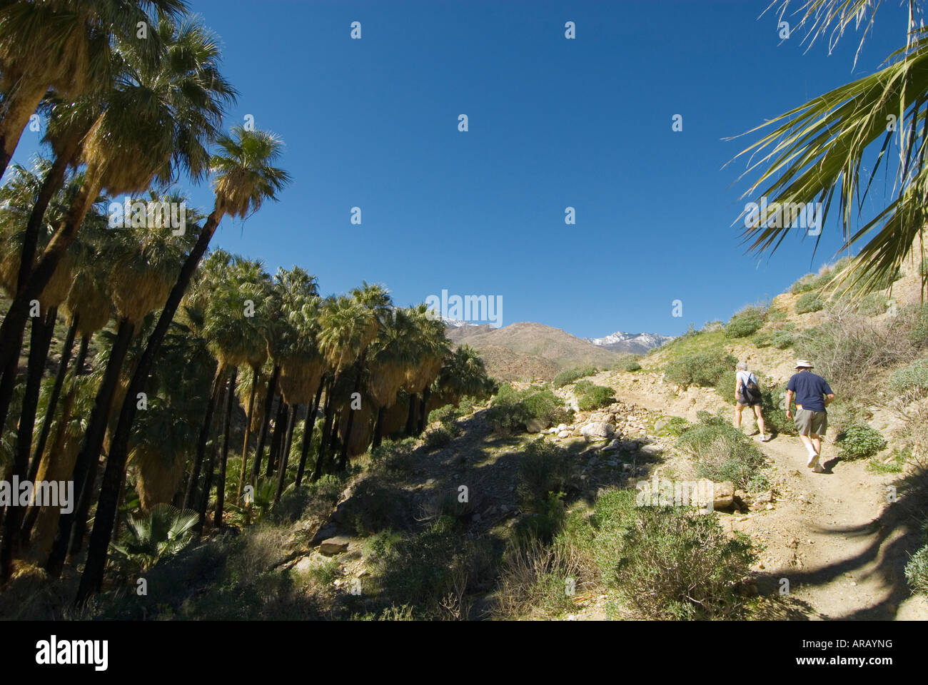 Cahuilla reservation hi-res stock photography and images - Alamy