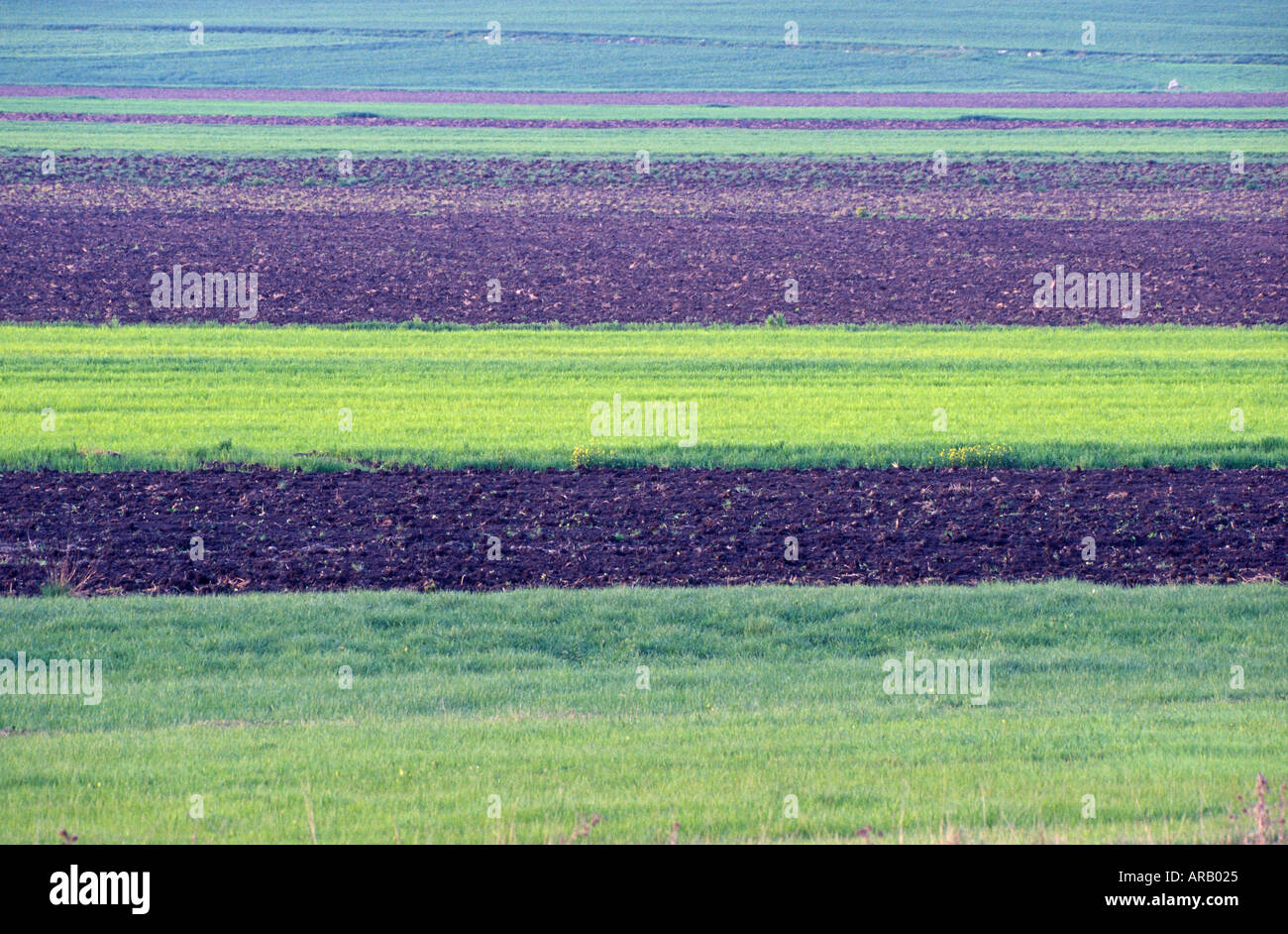 Green field and soil Istanbul Turkey Stock Photo - Alamy