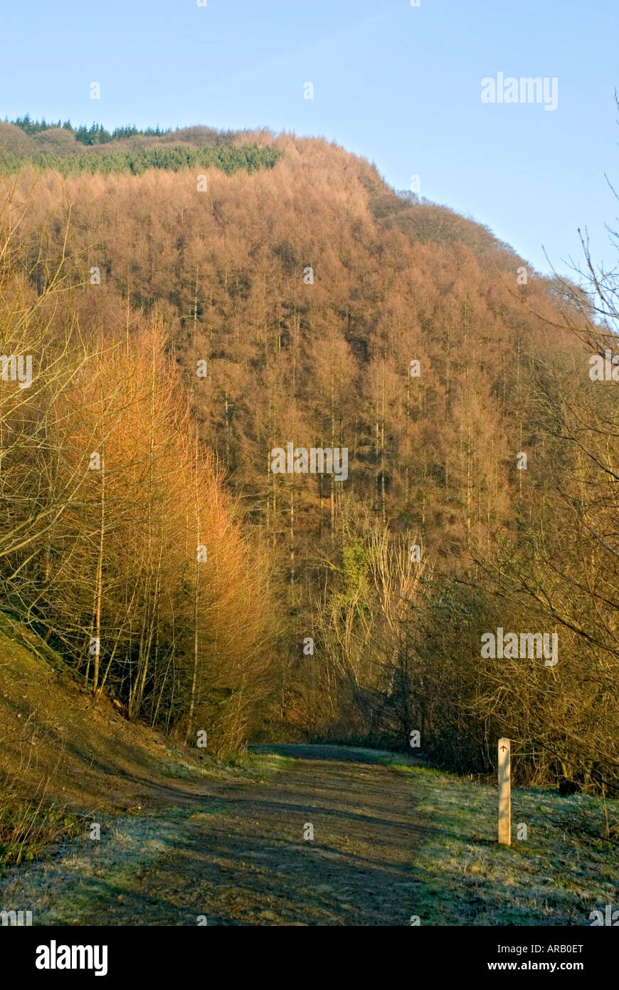 Cwmcarn forest wales hi-res stock photography and images - Alamy