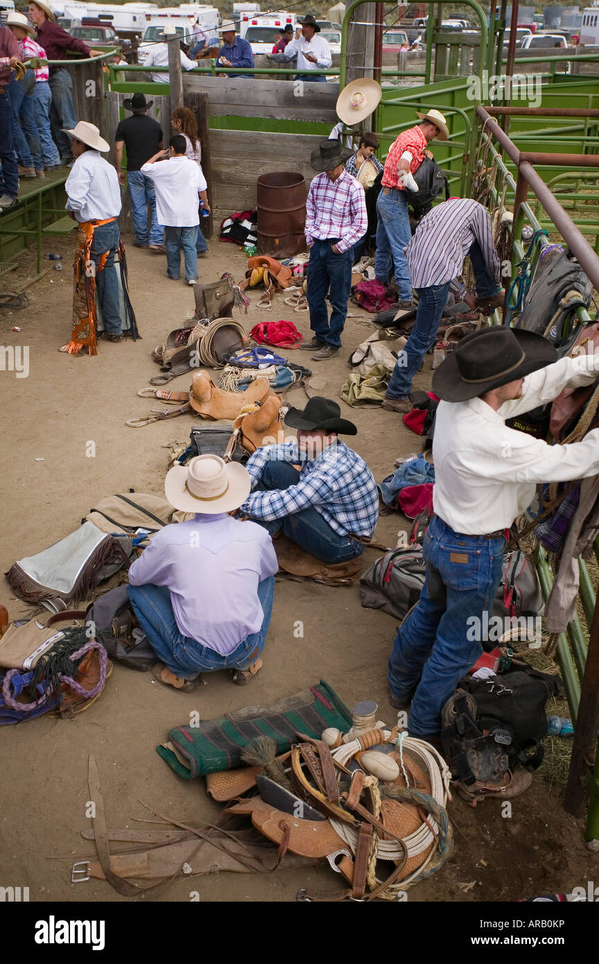 Rodeo chutes hi-res stock photography and images - Alamy