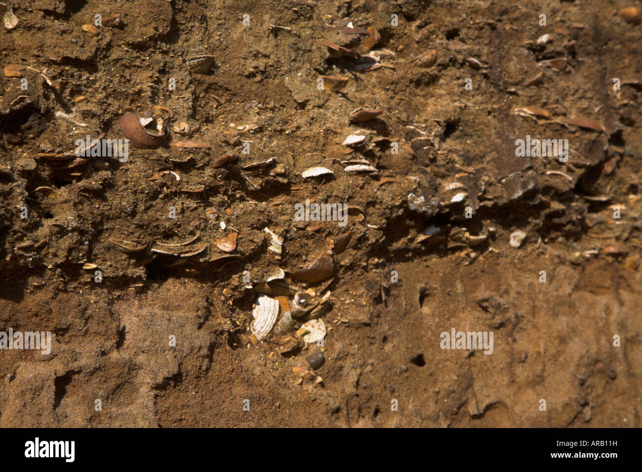 Marine sediments hi-res stock photography and images - Alamy