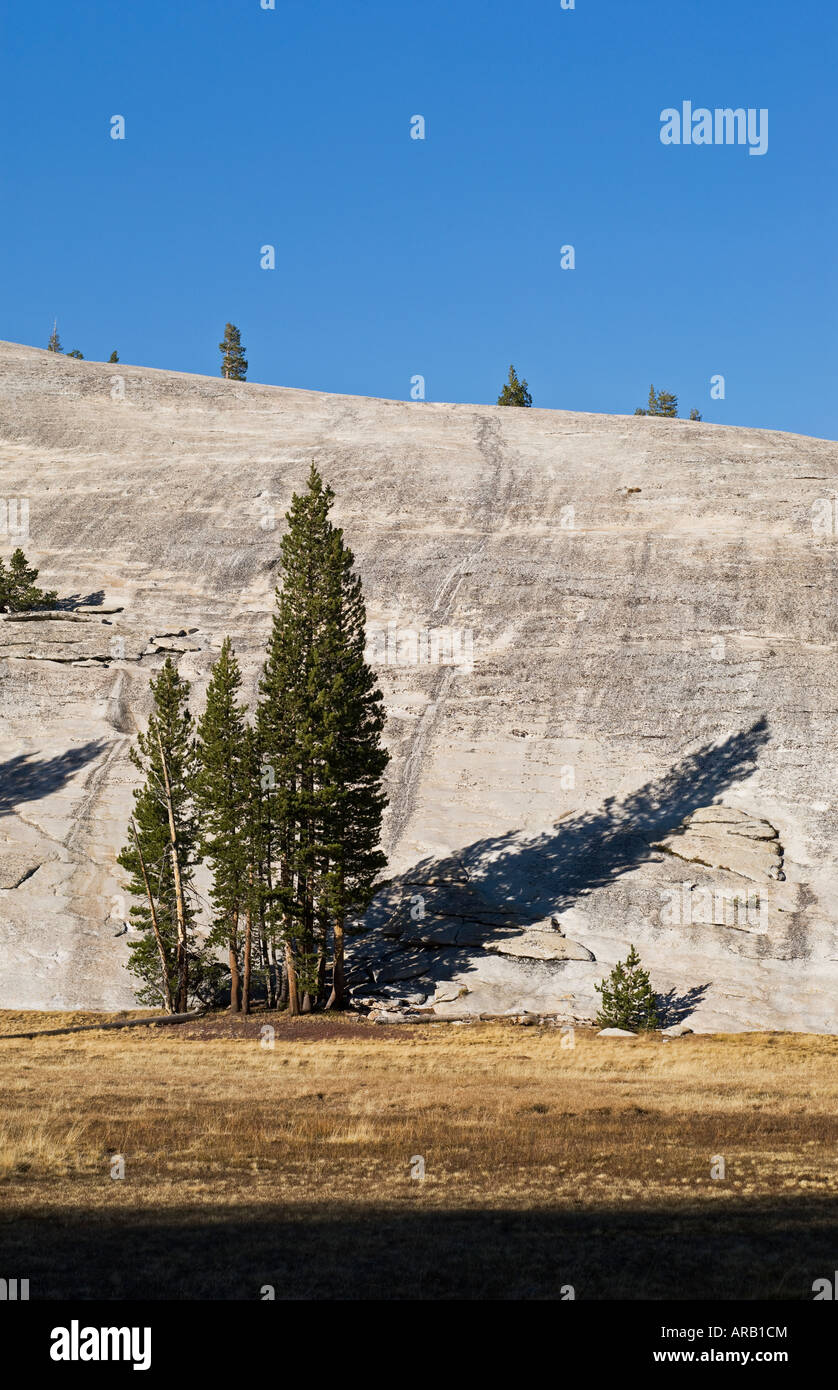 Granite rock of Pothole dome, Tuolumne meadows, Yosemite national park ...