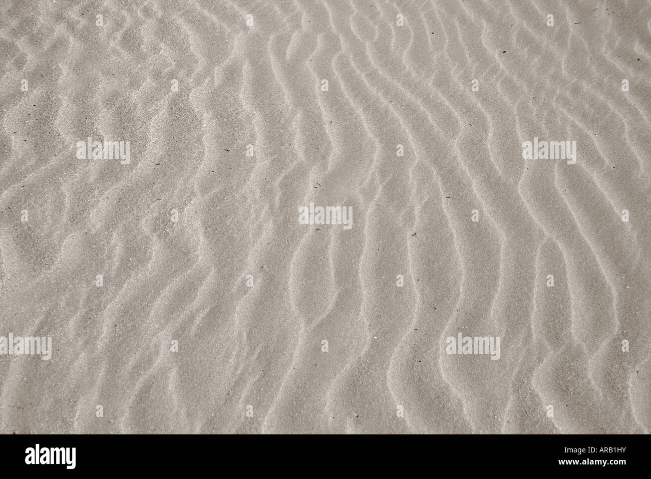 Beach with soft sand, rippled texture of windblown effect Stock Photo ...