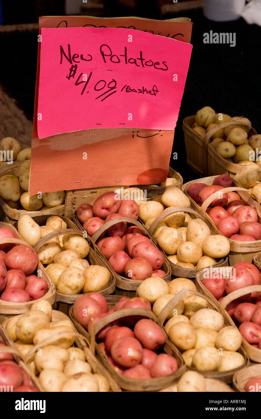 Farmers cultivating potatoes hi-res stock photography and images - Alamy