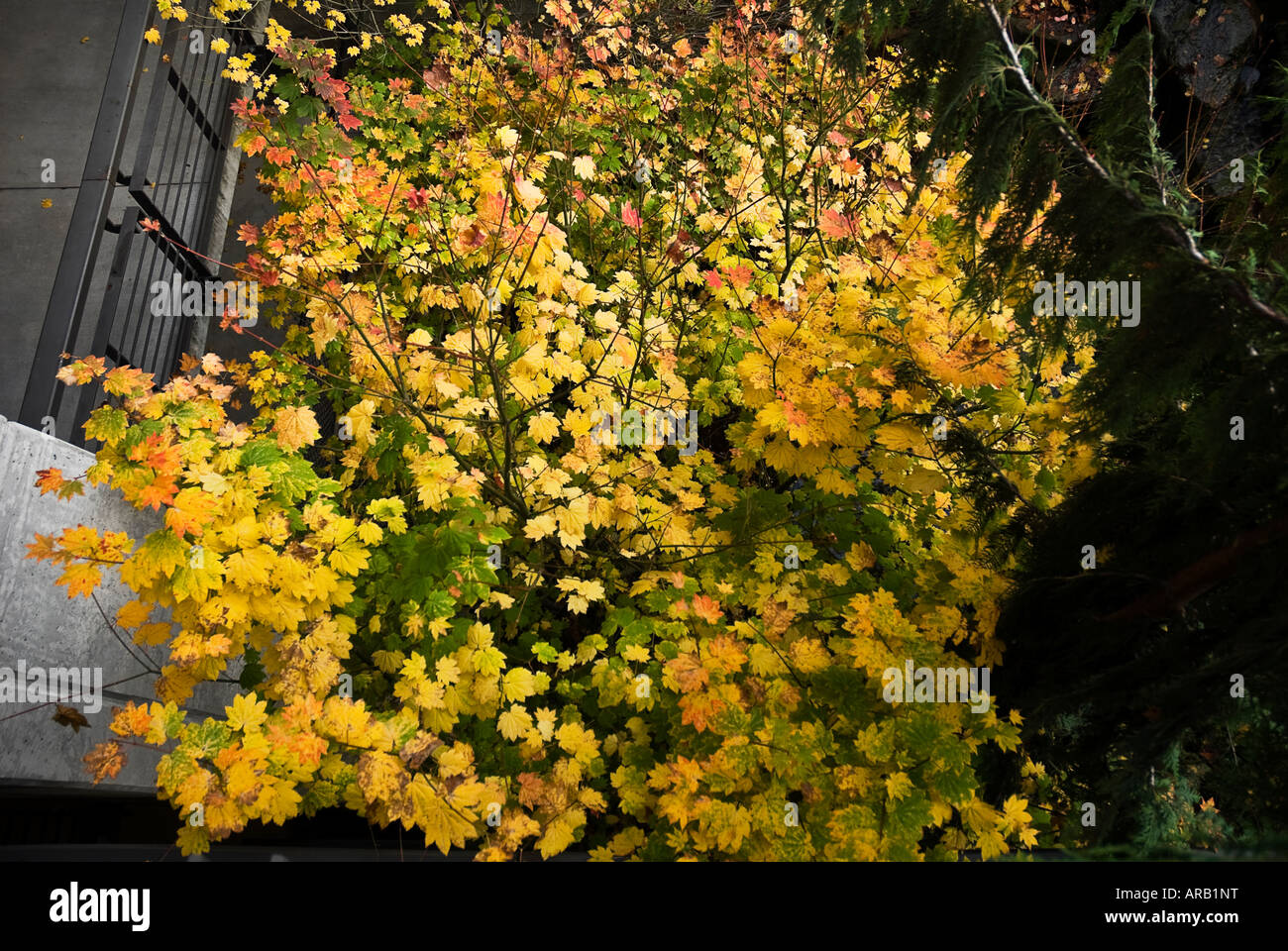 Rei store washington hi-res stock photography and images - Alamy