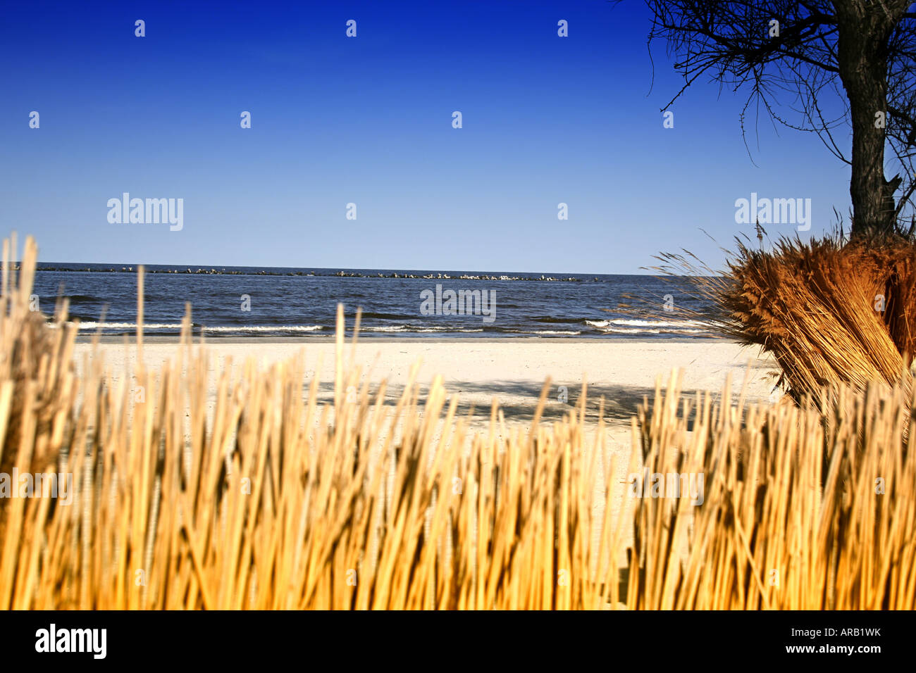 Picture of an empty beach Stock Photo - Alamy