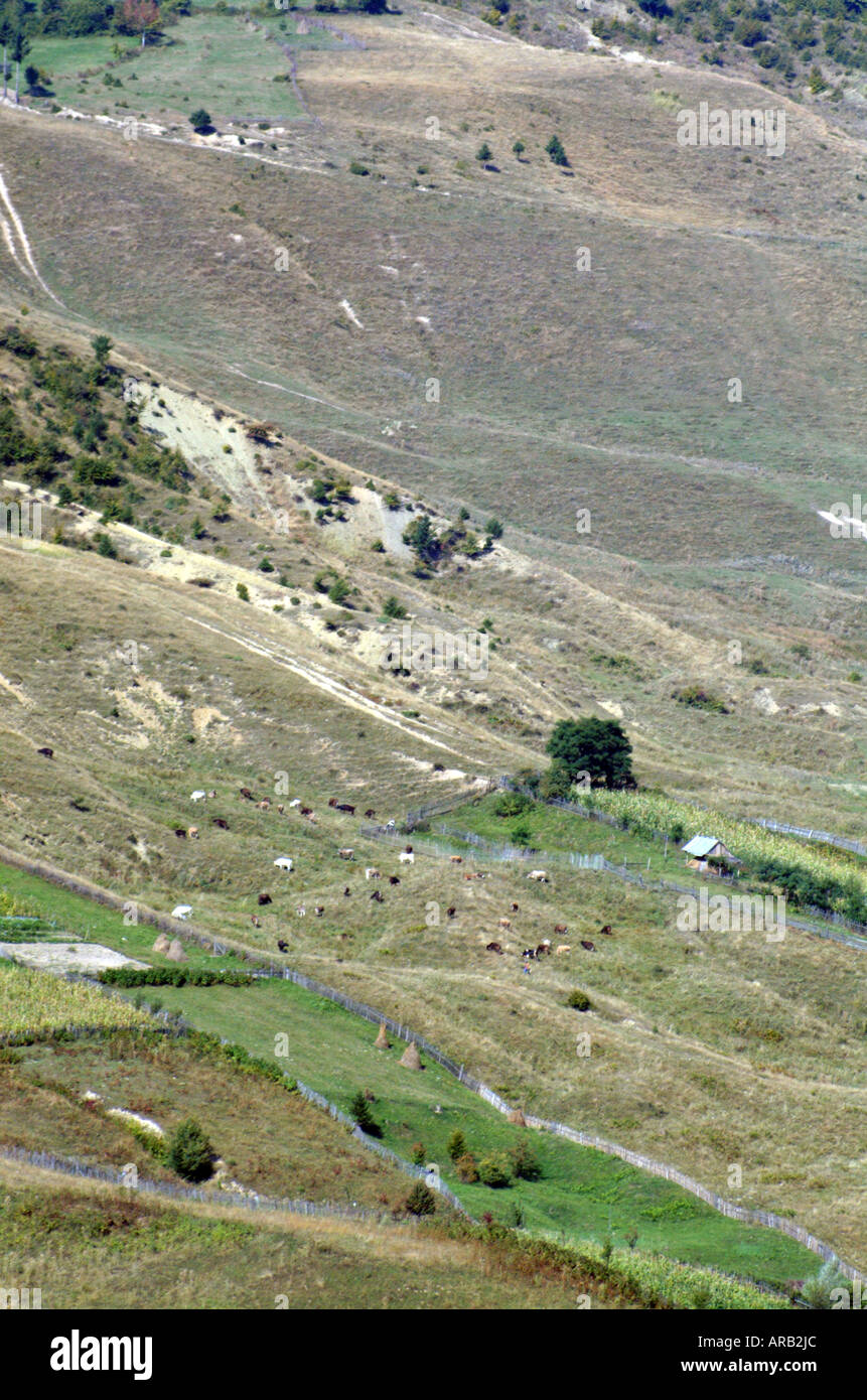 Soil erosion caused deforestation in hi-res stock photography and ...
