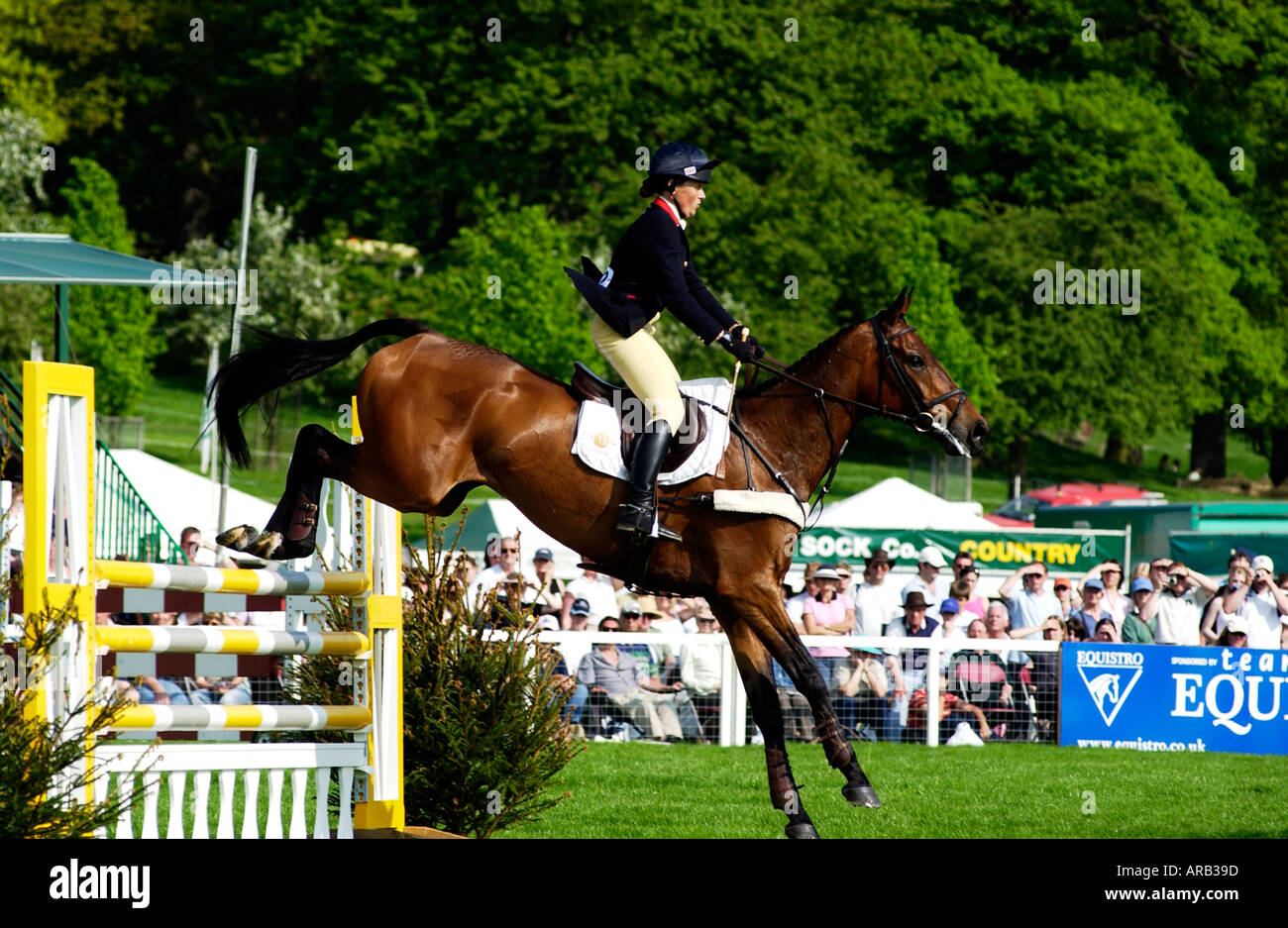 PIPPA FUNNELL PRIMMORES PRIDE Stock Photo - Alamy