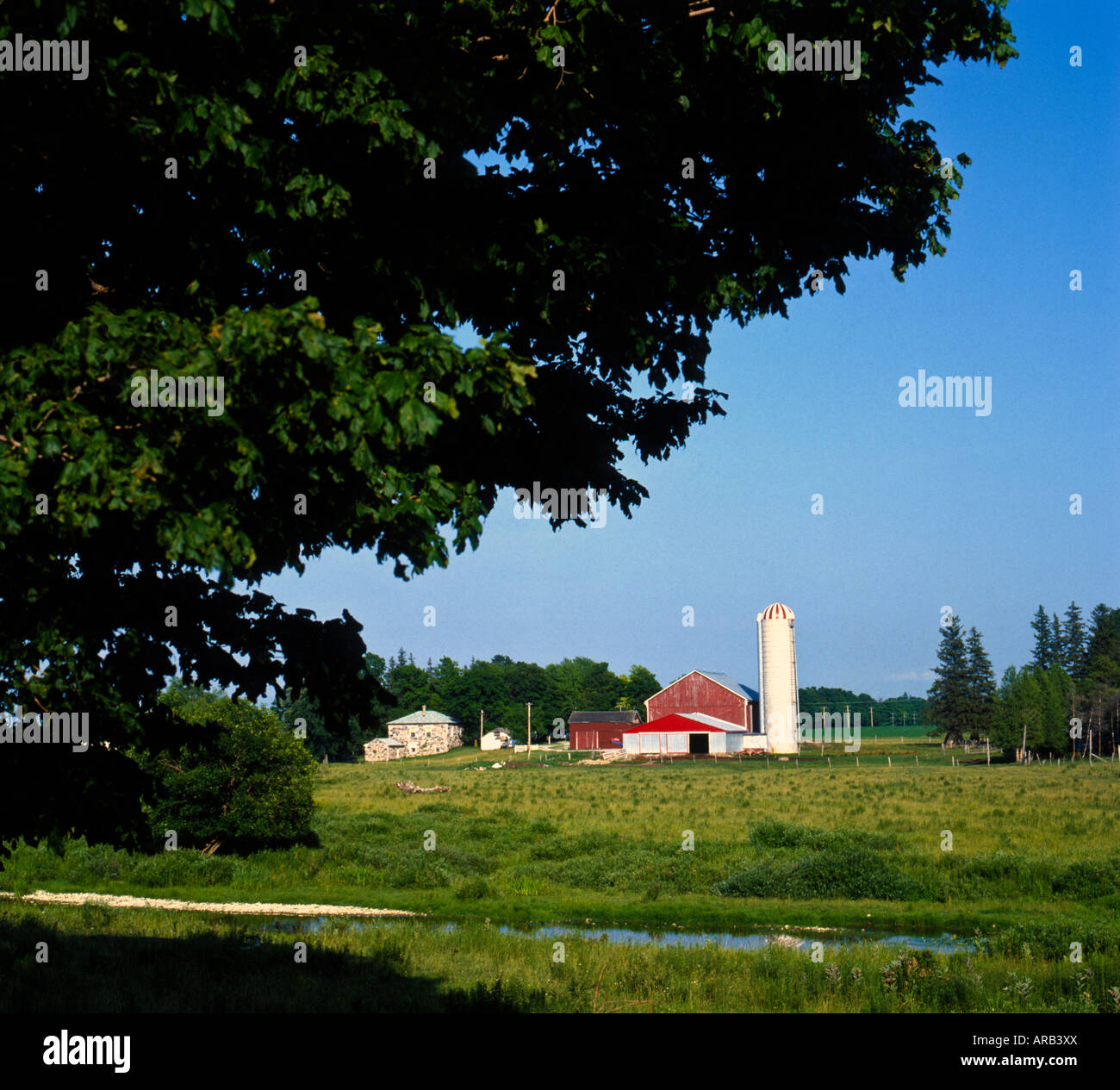 Farmer harvesting corn ontario hi-res stock photography and images - Alamy