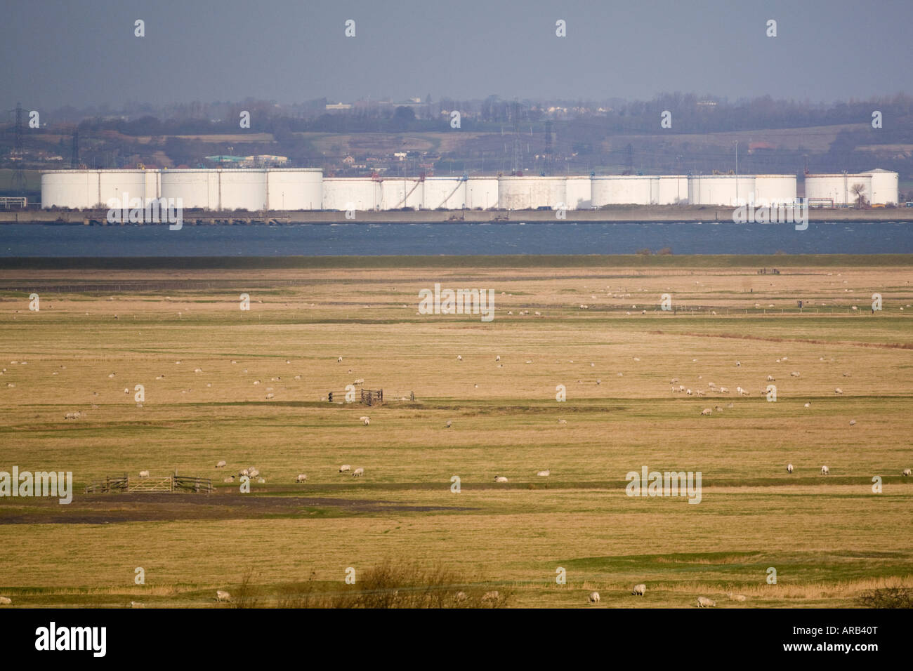Kent Marshes High Resolution Stock Photography and Images - Alamy