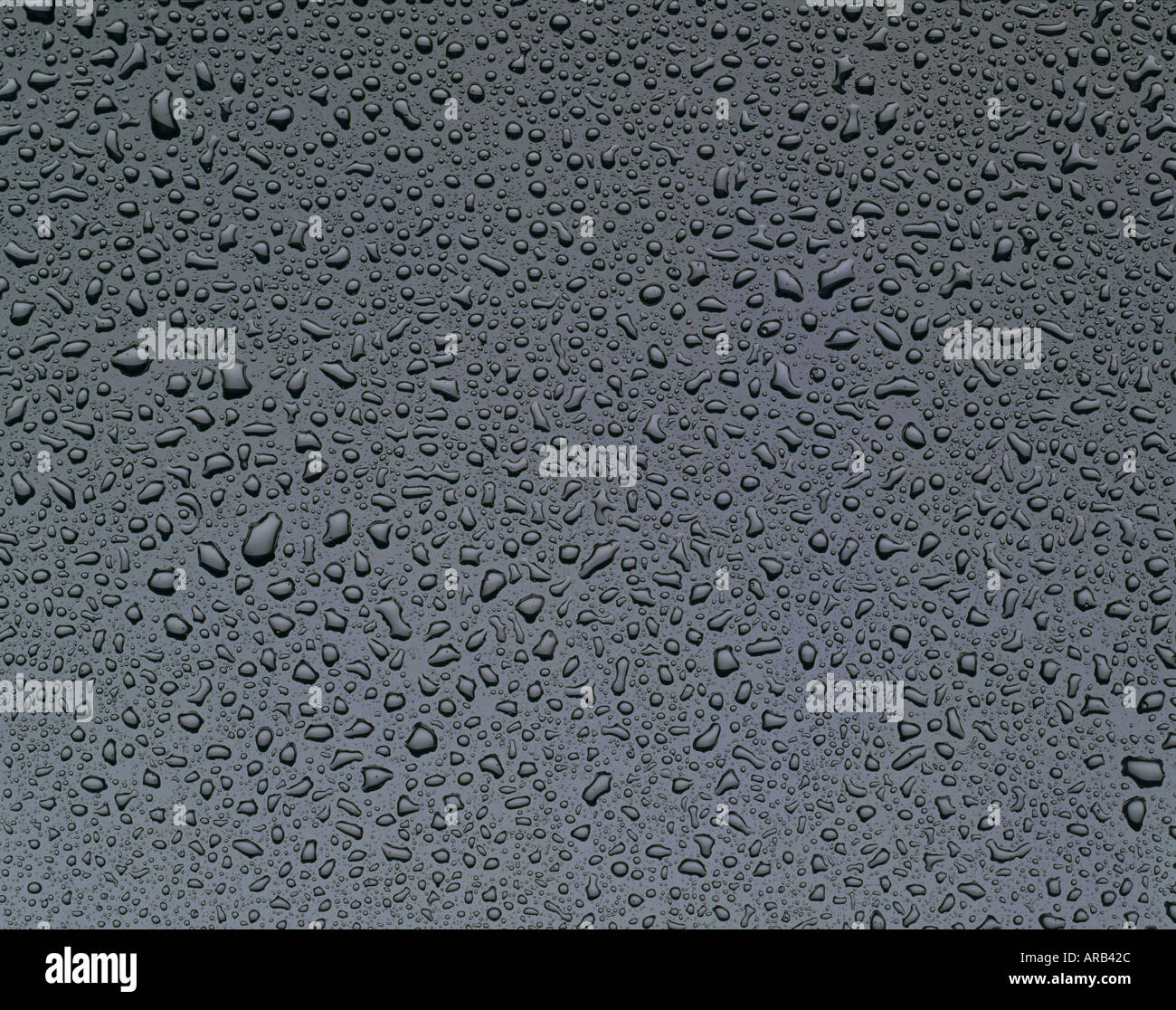 Droplets of Water Stock Photo - Alamy