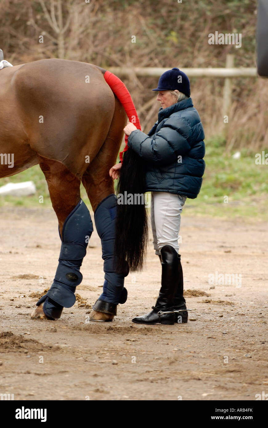 horses tack buckets stables horsboxes and trailers transport mucking ...