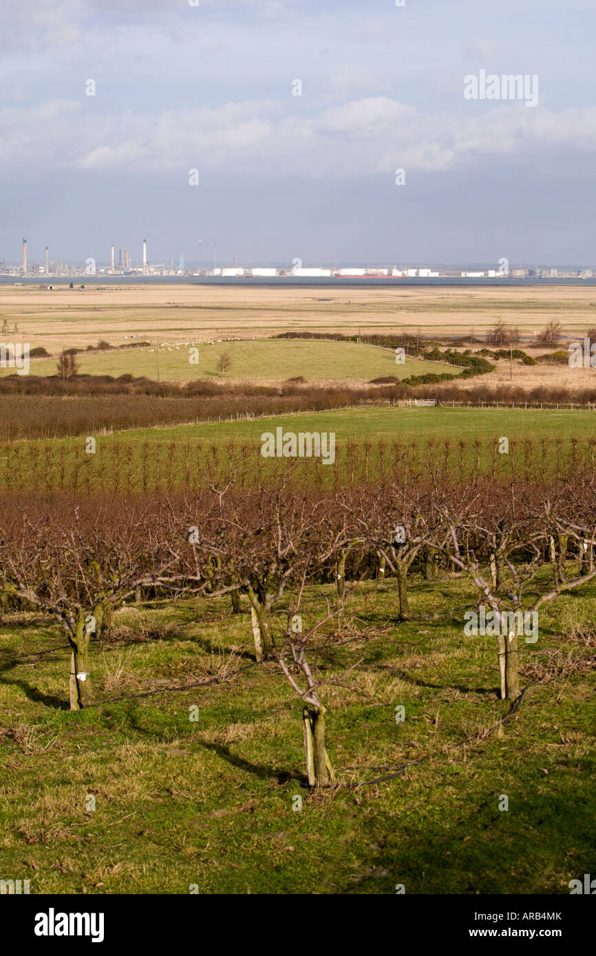 Kent Marshes High Resolution Stock Photography and Images - Alamy