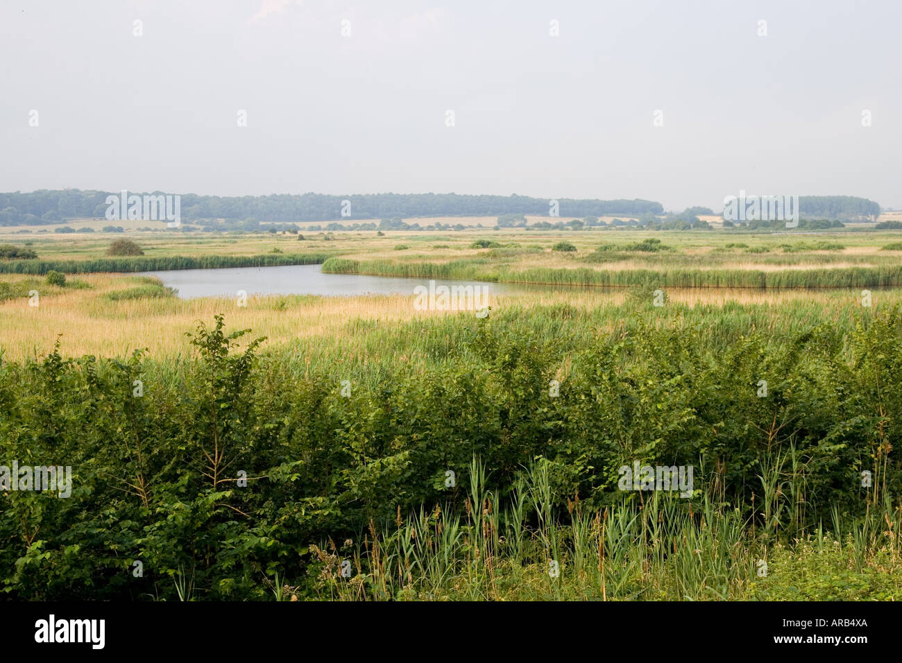 Holkham Nature Reserve Norfolk United Kingdom Stock Photo - Alamy