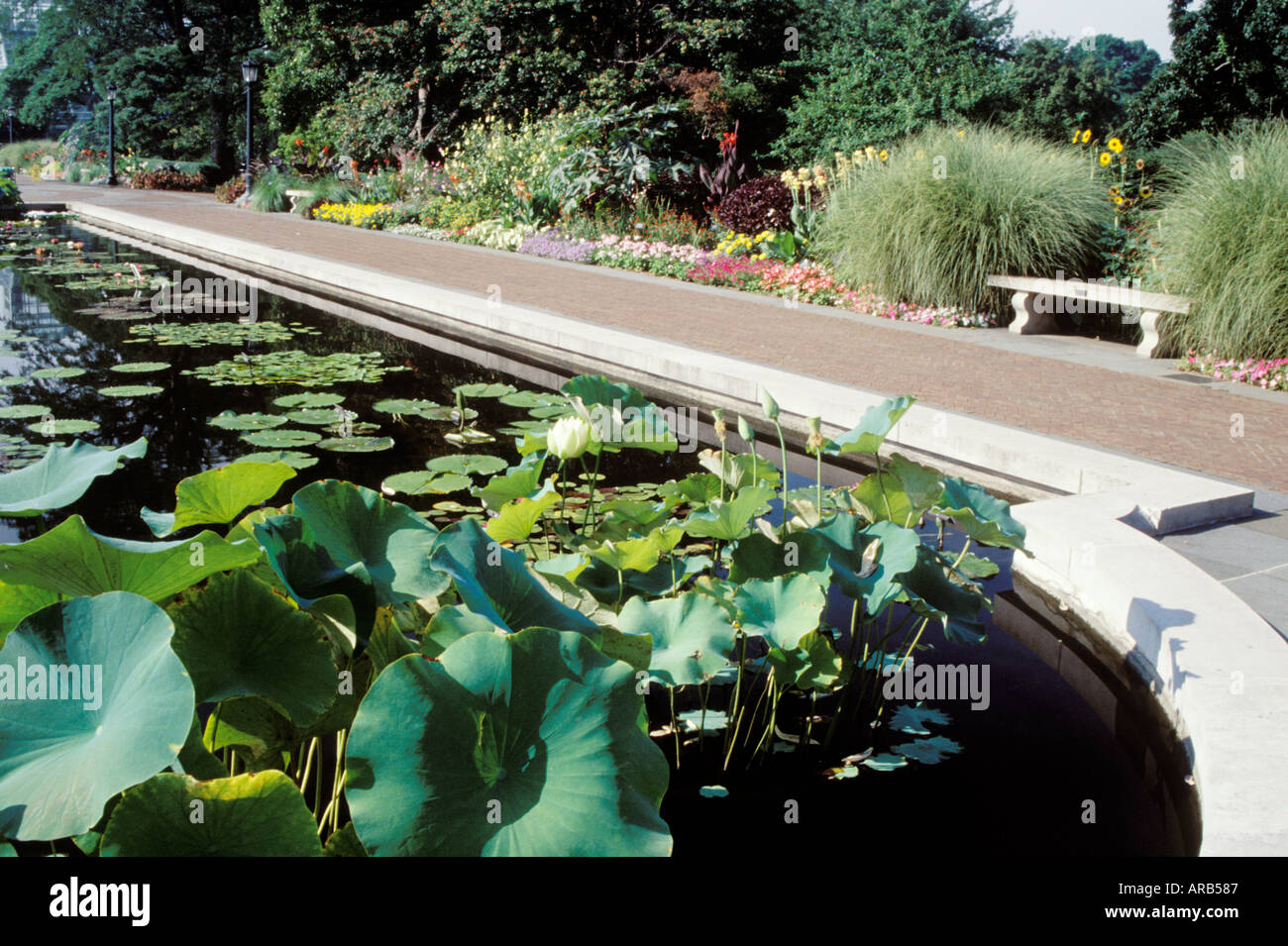 The water lily pond at The Brooklyn Botanic Garden Brooklyn New York ...