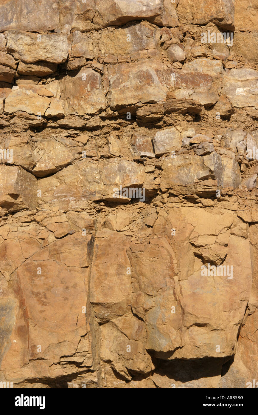 Metamorphic Rocks Limestone