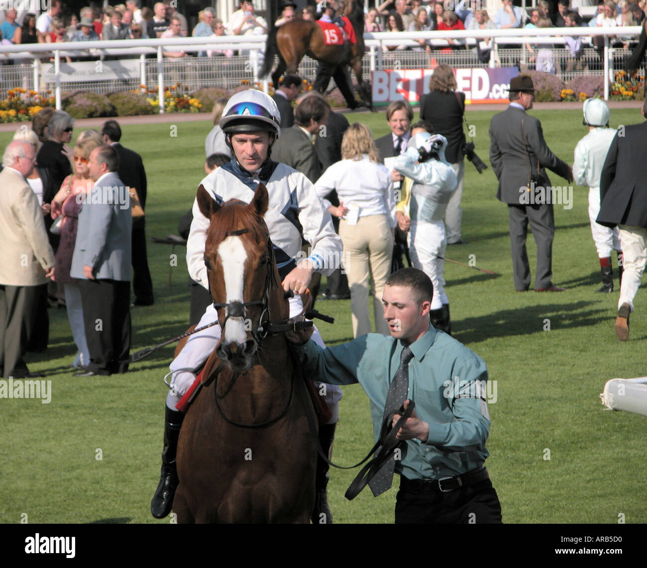 jockey on a horse at the races Sandown Park UK Stock Photo - Alamy