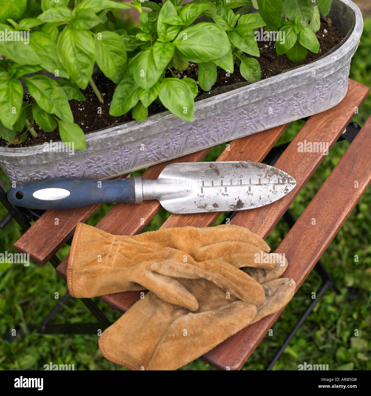 Plant and Gardening Tools Stock Photo - Alamy