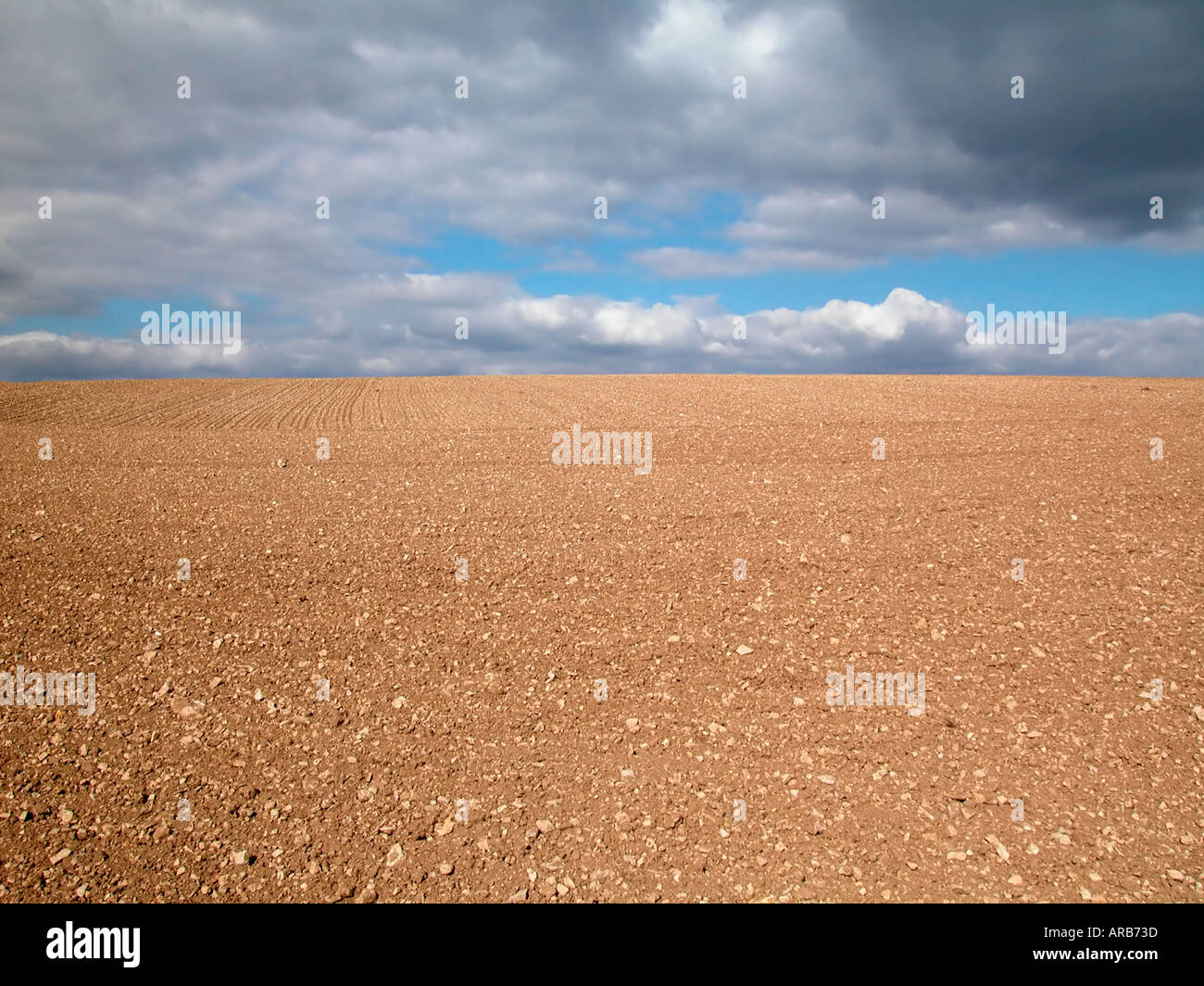 empty field after the harvest with a clouded sky Stock Photo - Alamy