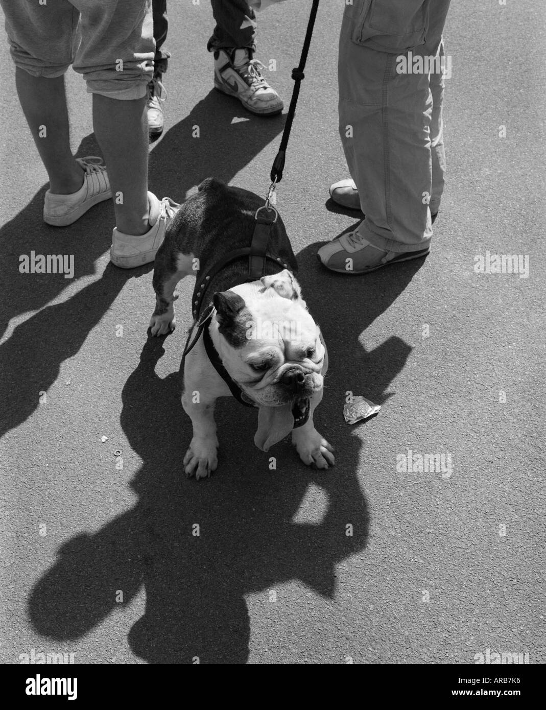 Pairs of legs Black and White Stock Photos & Images - Alamy